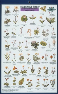 Mac's Field Guides: Pacific NW Wildflowers — Books