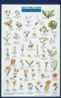 Mac's Field Guides: Rocky Mountain Wildflowers — Books