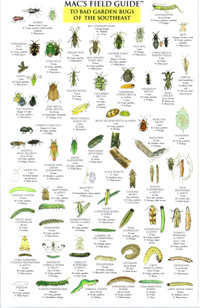 Mac's Field Guides: Southeast Garden Bugs — Books