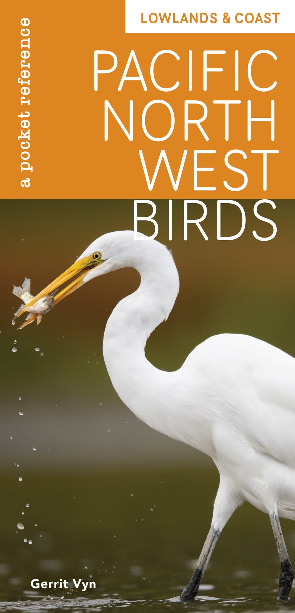 Pacific Northwest Birds: Lowlands & Coast: A Pocket Reference — Books