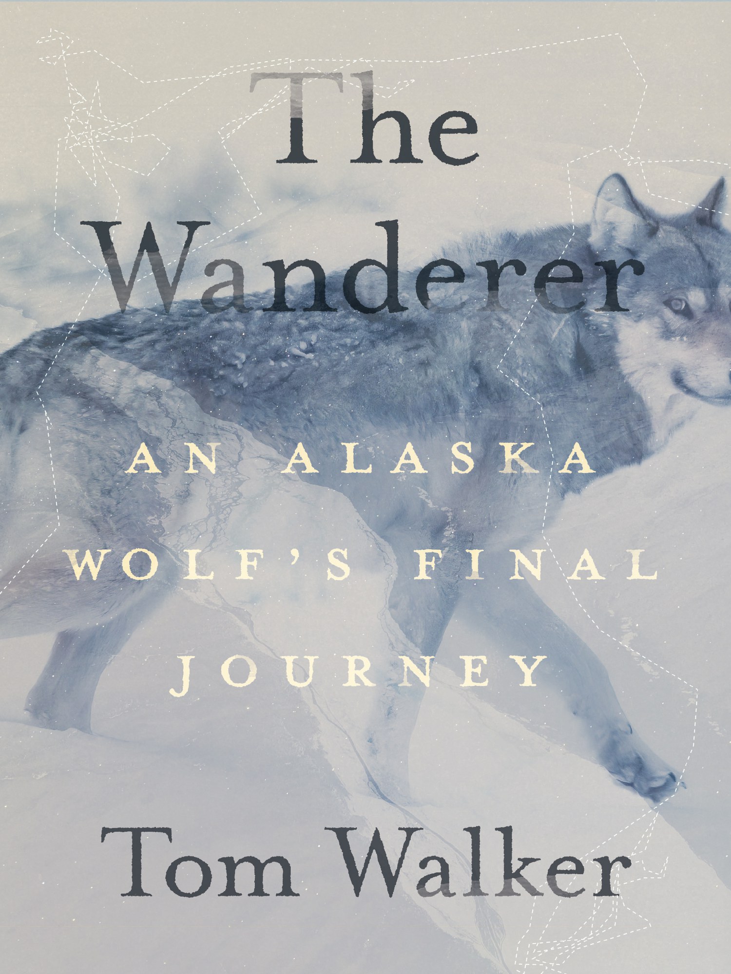 the wanderer