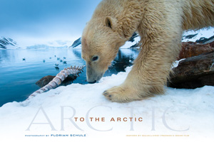 To the Arctic — Books