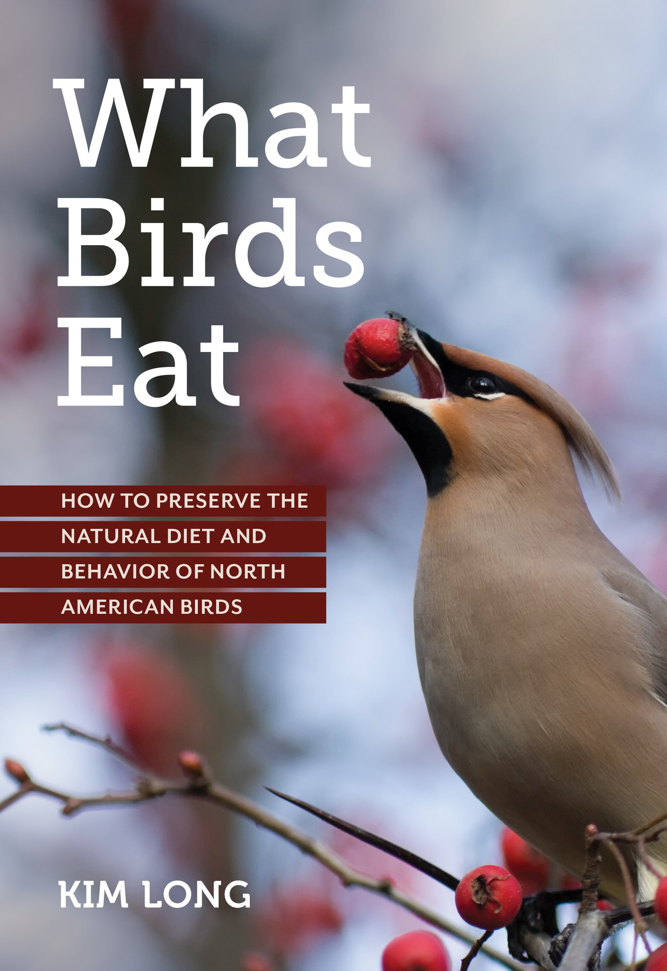 What Birds Eat: How to Preserve the Natural Diet and Behavior of North ...