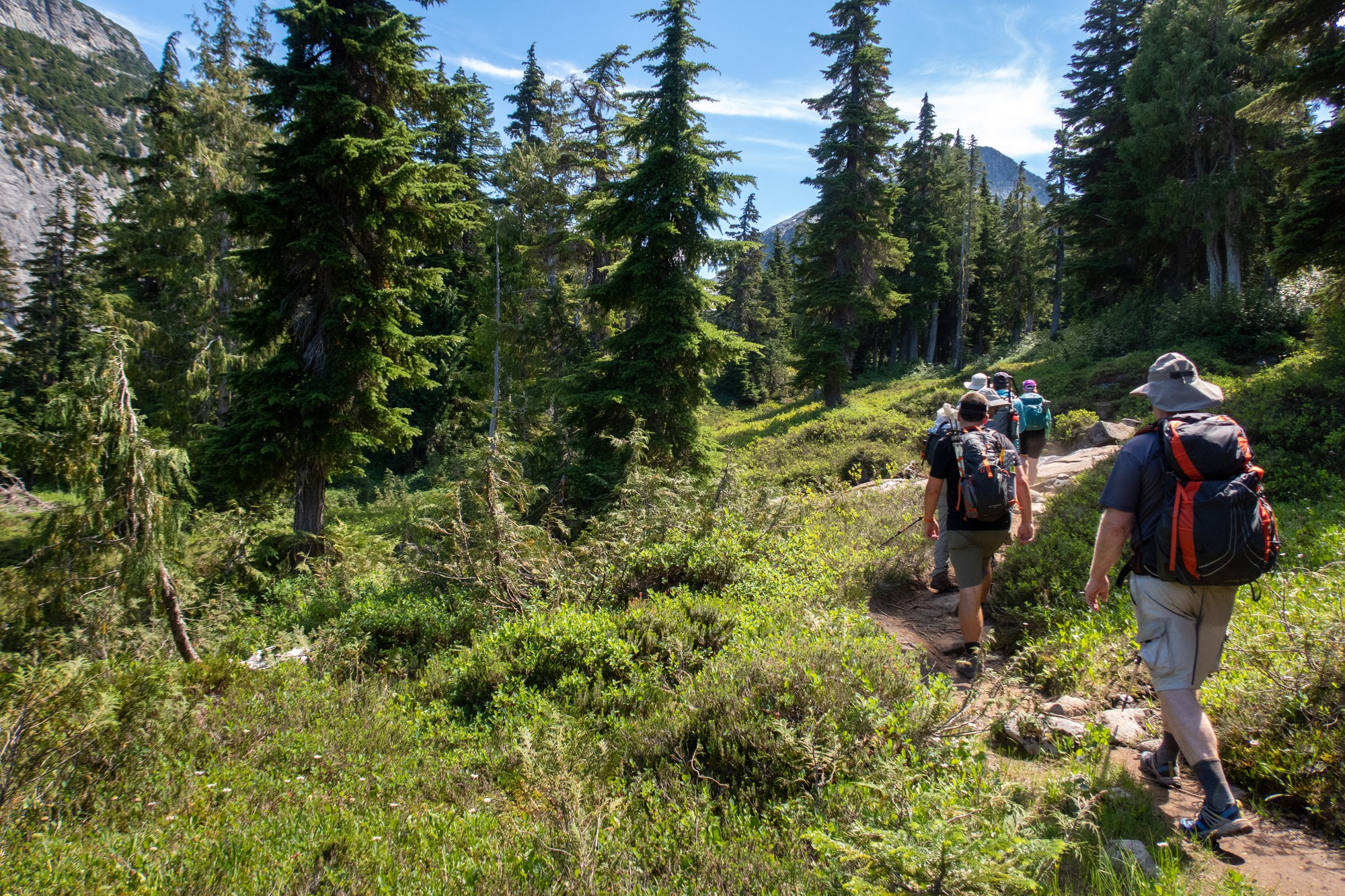 Zoom Q&A for 2023 Seattle Conditioning Hiking Series Course — The ...