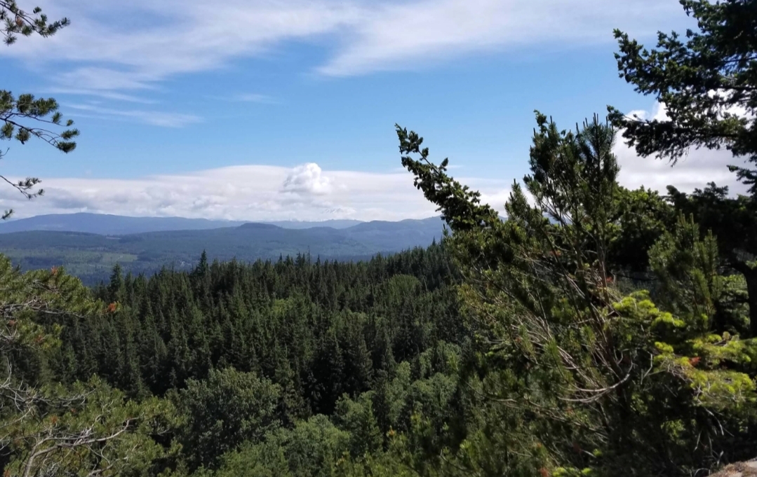 July Hikes: 3.75 to 6.5 miles, 500 to 1,750 feet gain - Chuckanut Ridge ...