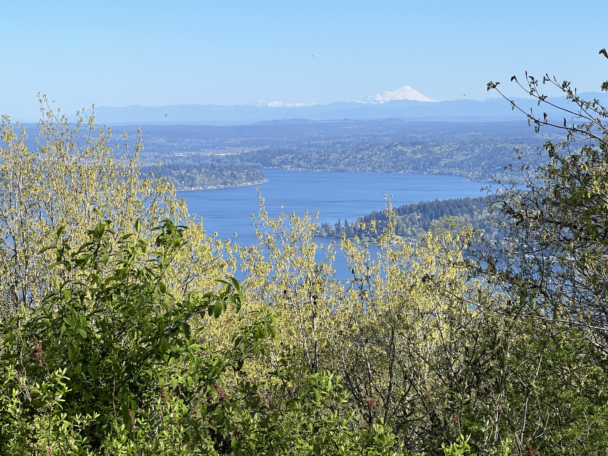 June Hikes: 3.5 to 6 miles, 400 to 1,500 feet gain - Big Tree Ridge ...