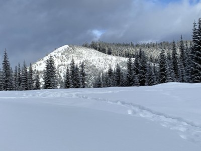 Emergency Winter Scenarios - Commonwealth Basin — The Mountaineers