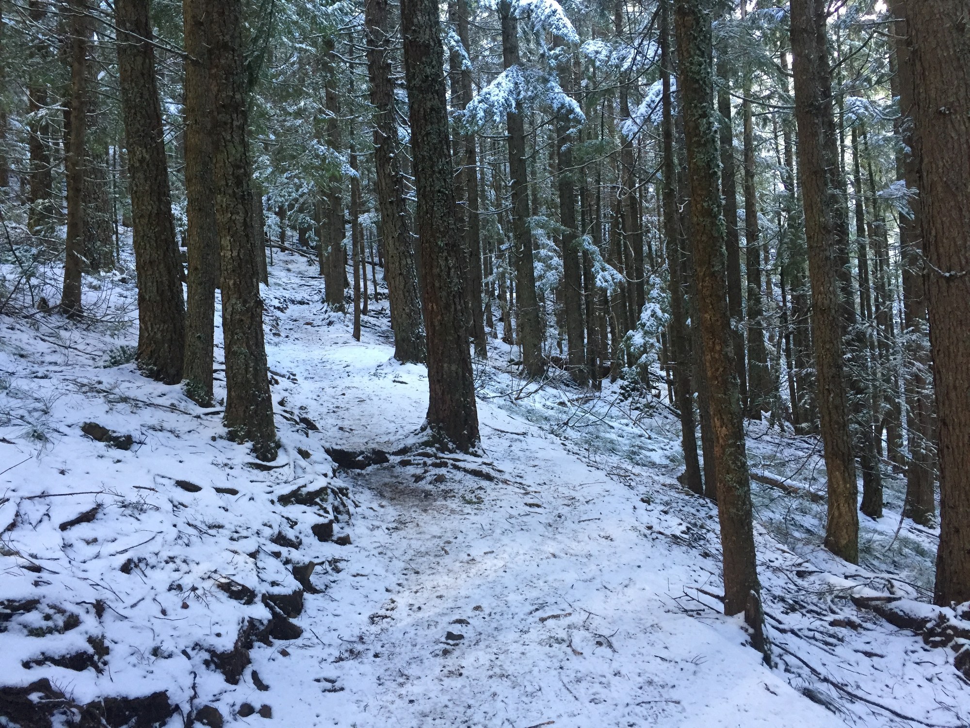 Introduction to Winter Trail Running — The Mountaineers