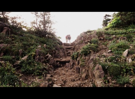 Trail Running Committee Meeting — The Mountaineers