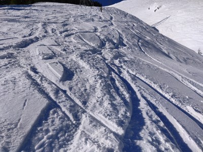 Day Use 2022 - Meany Lodge — The Mountaineers