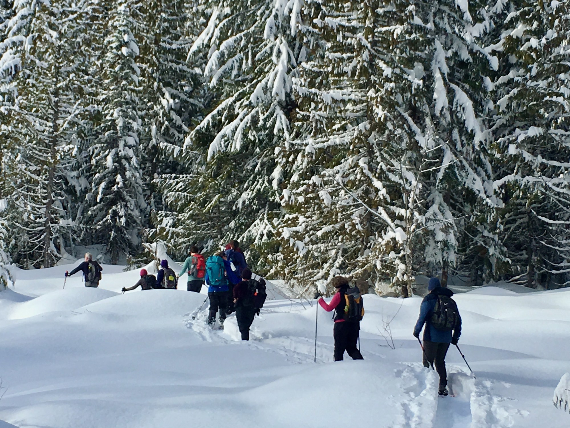 Snow Trek and Lunch 2023 - Meany Lodge — The Mountaineers