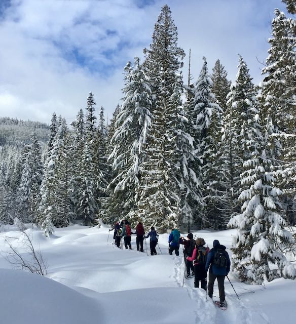 Snowshoe Trek and Lunch (L) - Meany Lodge — The Mountaineers