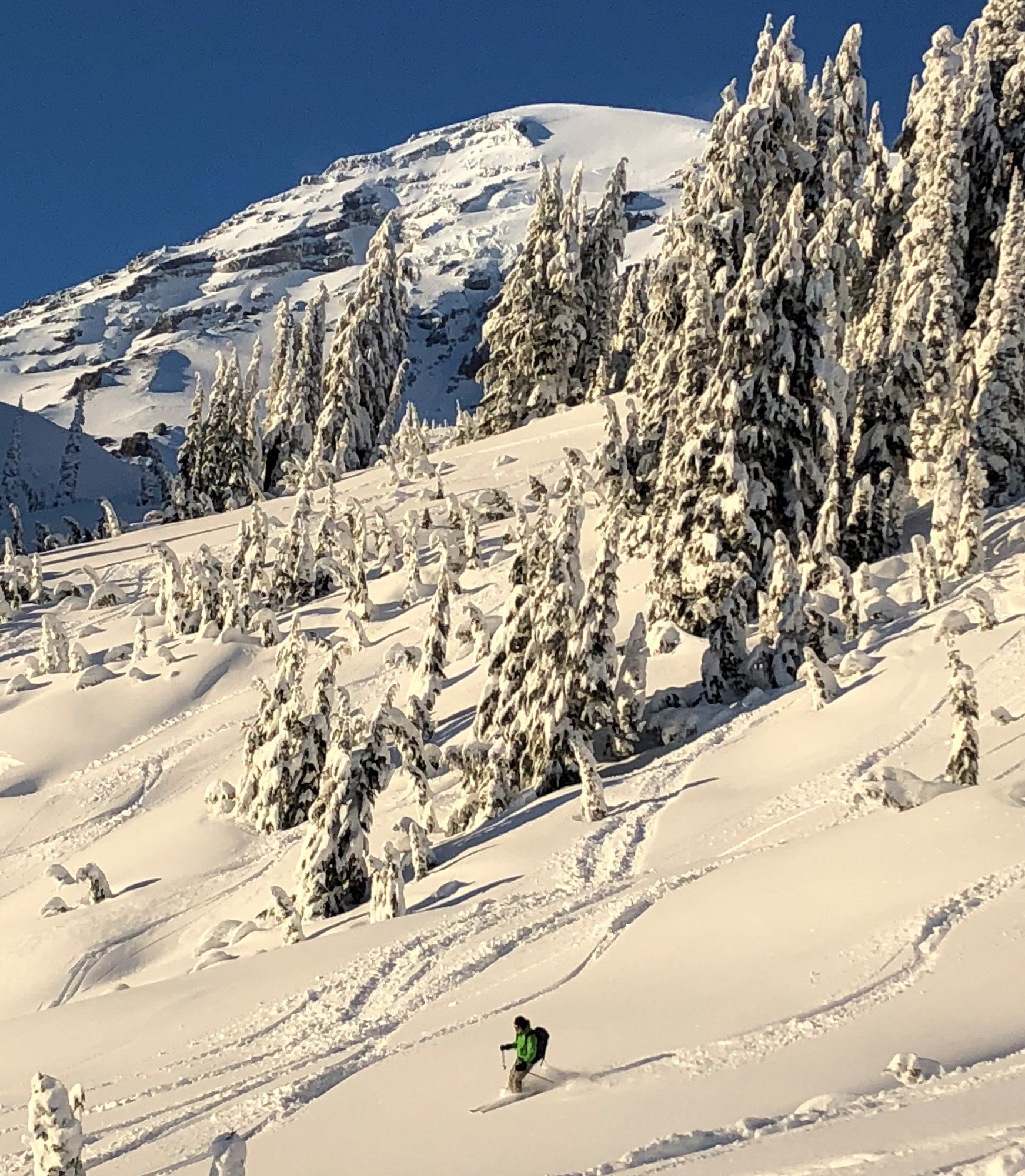 Trip 1 - Mazama Ridge (Mount Rainier) — The Mountaineers