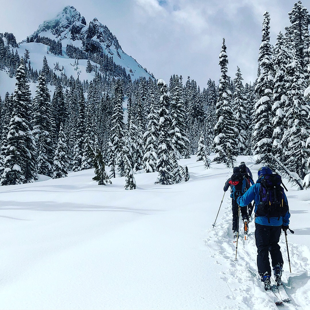 Trip 2 - Mazama Ridge (Mount Rainier) — The Mountaineers