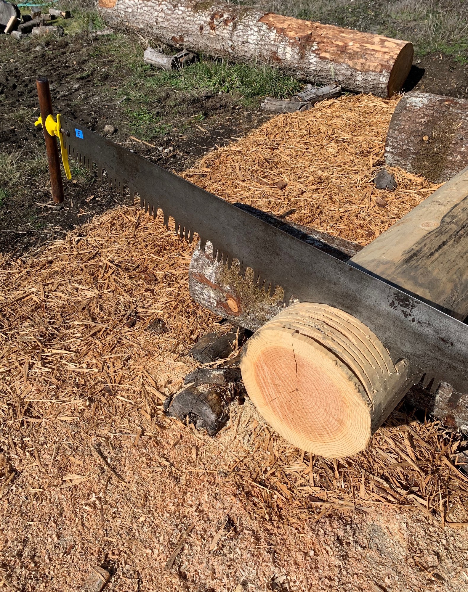 Crosscut Saw Practice and Development - Private Residence — The ...