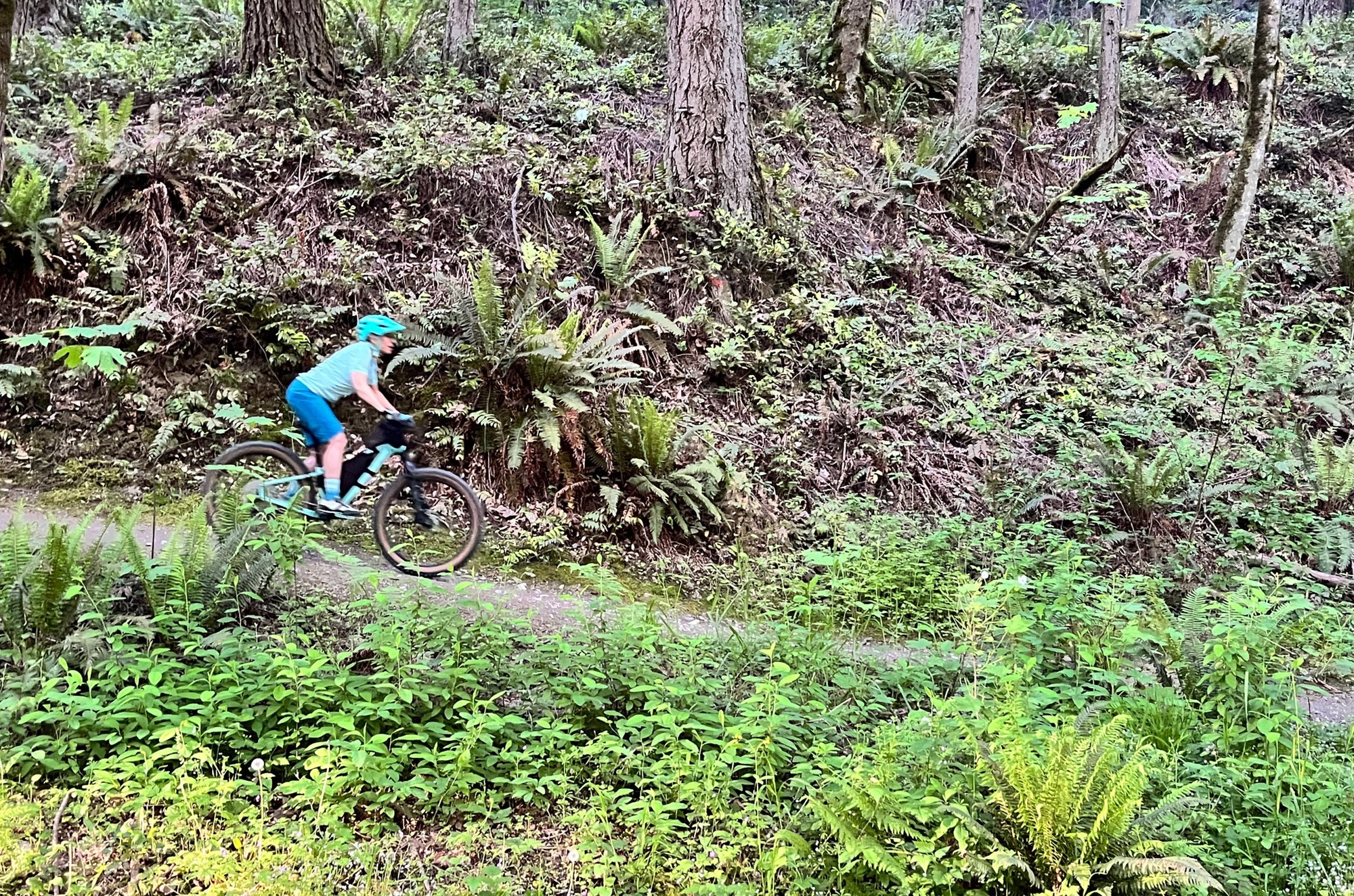 Introduction to singletrack riding for bikepackers - Grand Ridge Park ...
