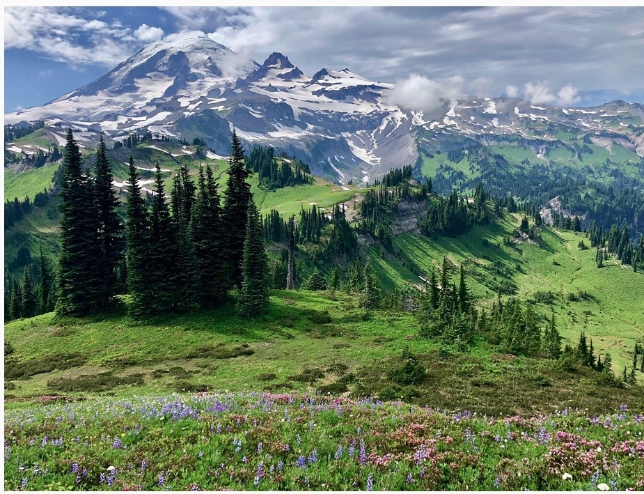 CHS 1 Hike - Stevens Canyon (Mount Rainier) — The Mountaineers
