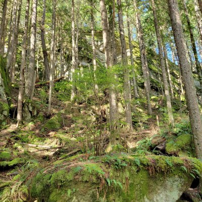 CHS 2 Hike - Chuckanut Ridge Loop — The Mountaineers
