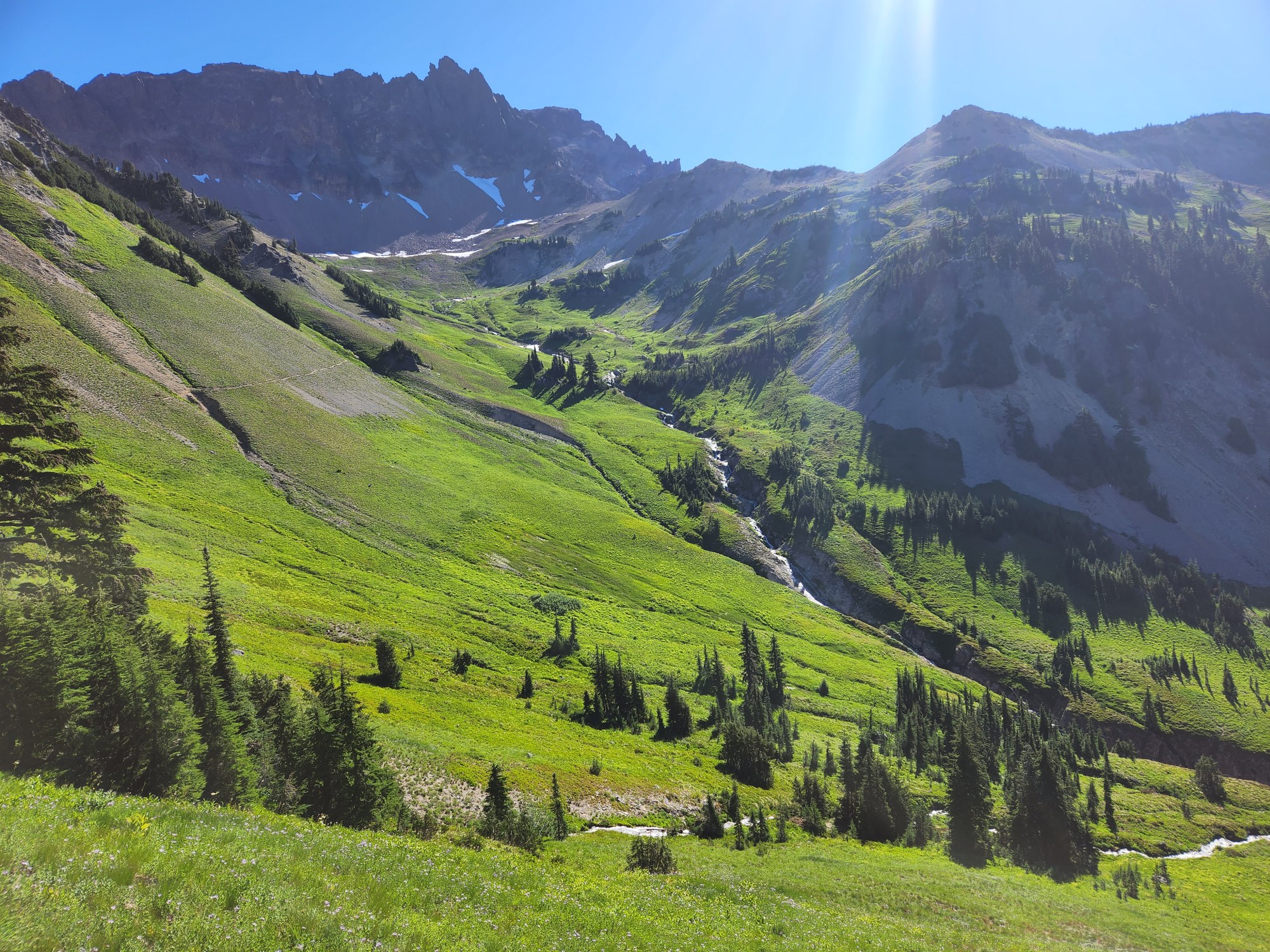 CHS 2 Hike - Cispus Pass — The Mountaineers