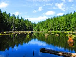 CHS 2 Hike - Lily & Lizard Lakes — The Mountaineers