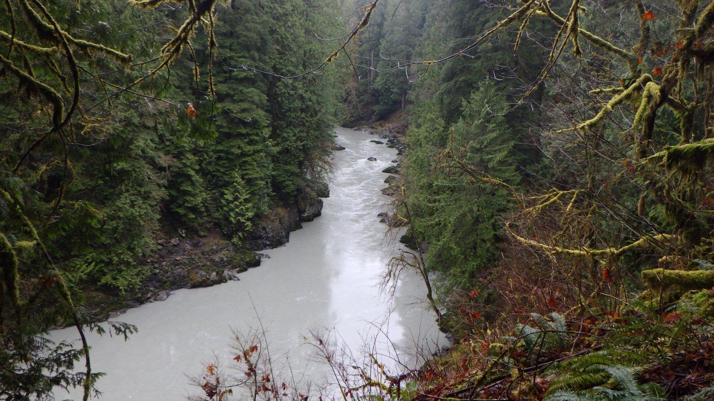 CHS 2 Hike - Lime Kiln Trail — The Mountaineers