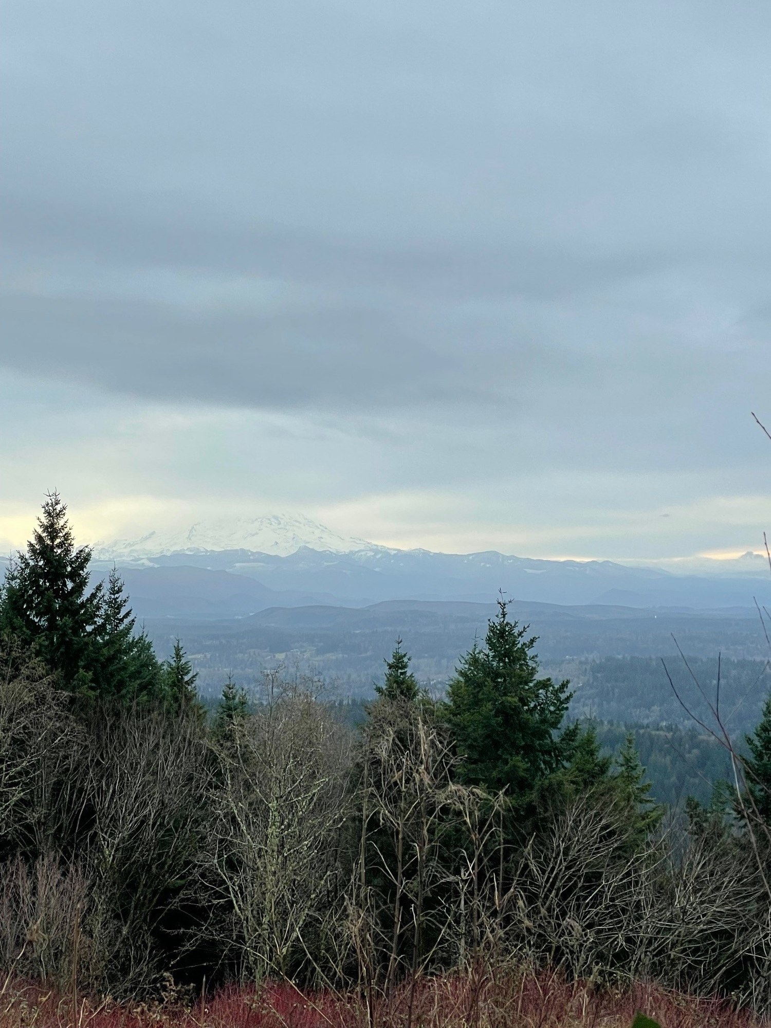 CHS 2 Hike - Poo Poo Point via High School Trail — The Mountaineers