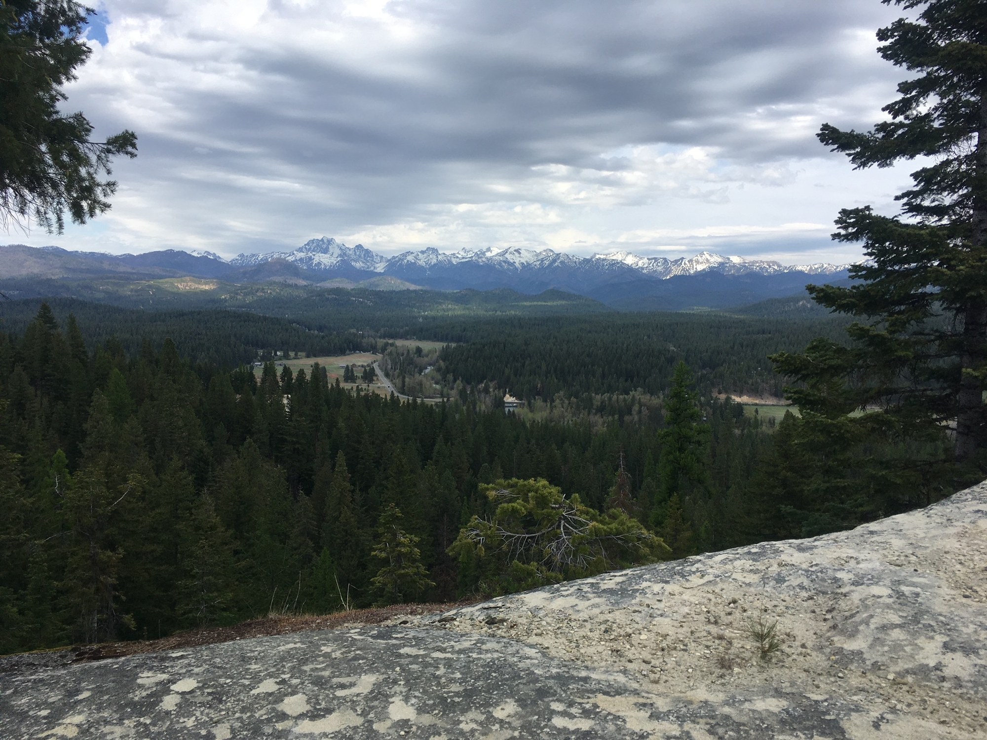 Field Trip 3 - Seattle Naturalists Intro Natural World Course - Bible ...