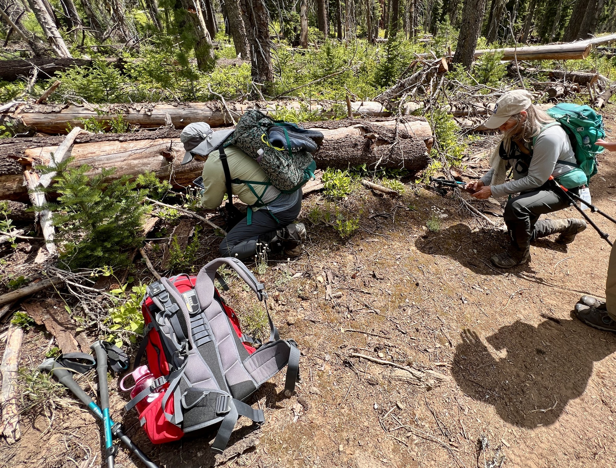 Field Trip 3 - Seattle Naturalists Intro Natural World Course - DeRoux ...