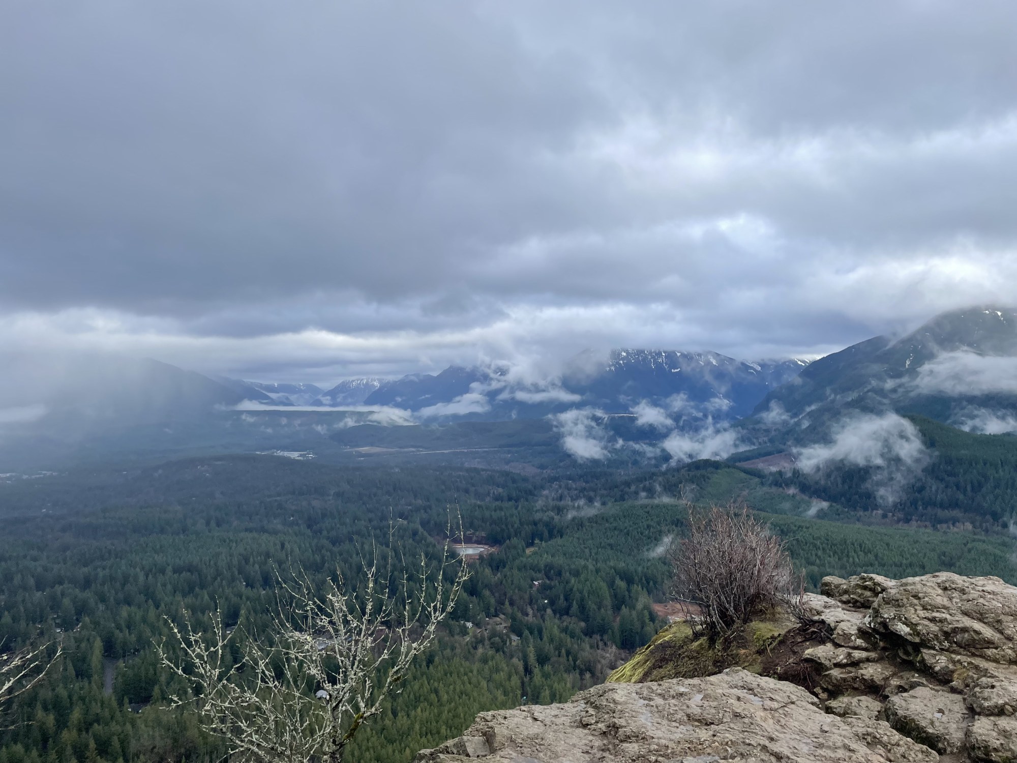 Lecture 2 - Seattle Naturalists Intro Natural World Course - Online Classroom — The Mountaineers