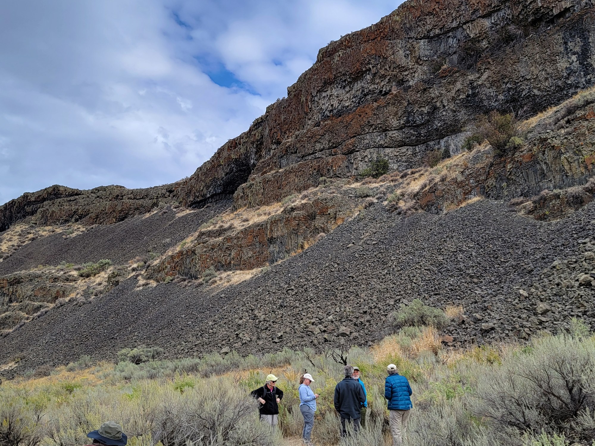 Lecture 5 - Seattle Naturalists Intro Natural World Course - Online ...