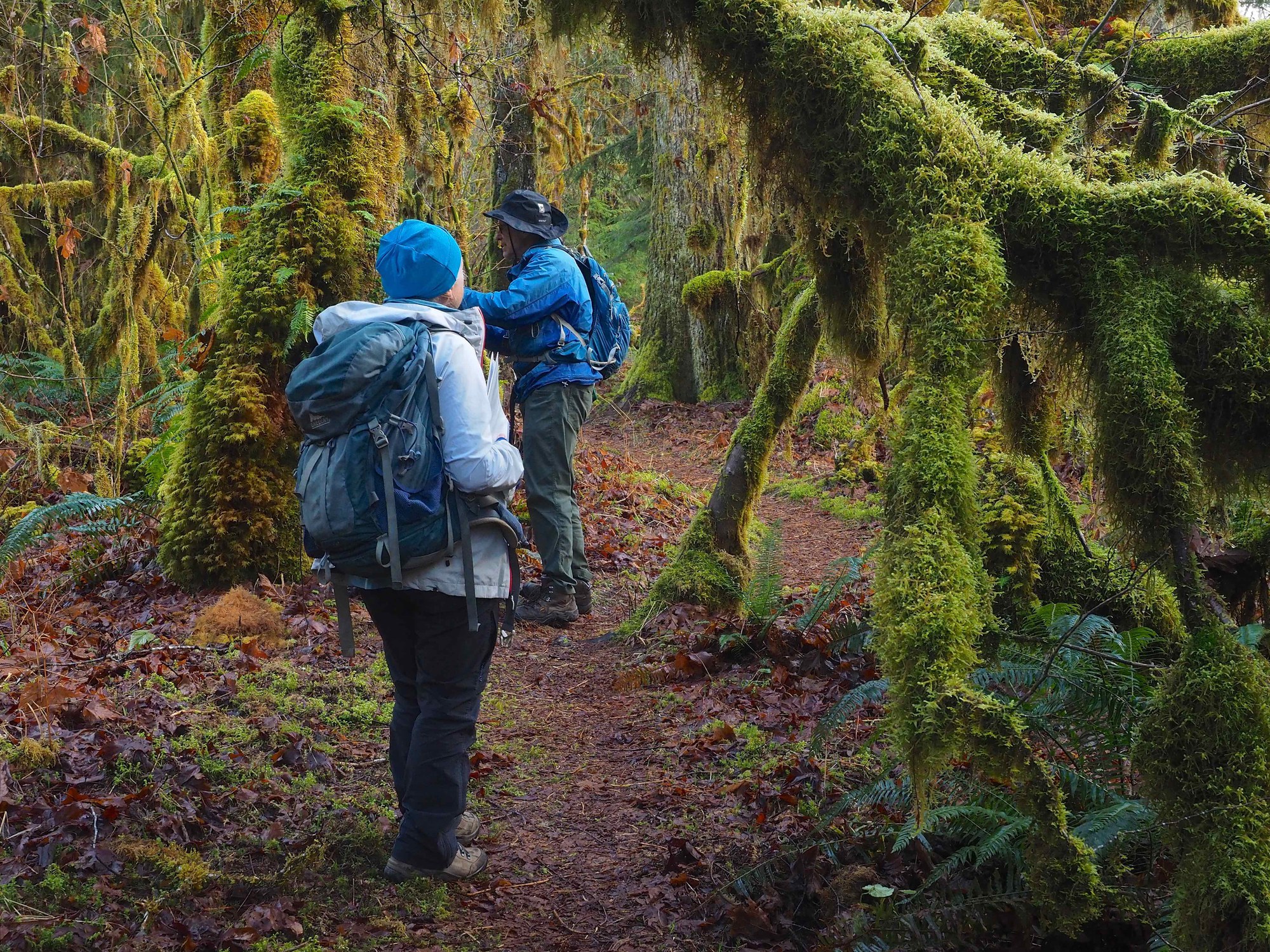 Moss Workshop - Seattle - 2024 — The Mountaineers