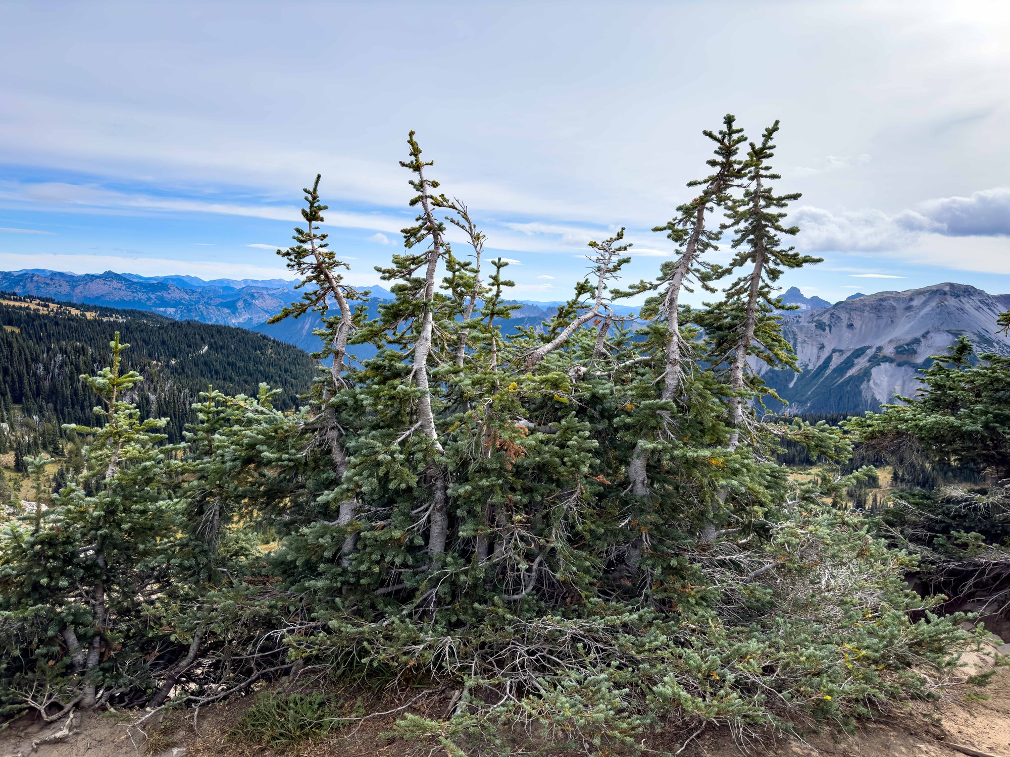 Naturalist Lecture Series - Mountaineers Seattle Program Center — The Mountaineers