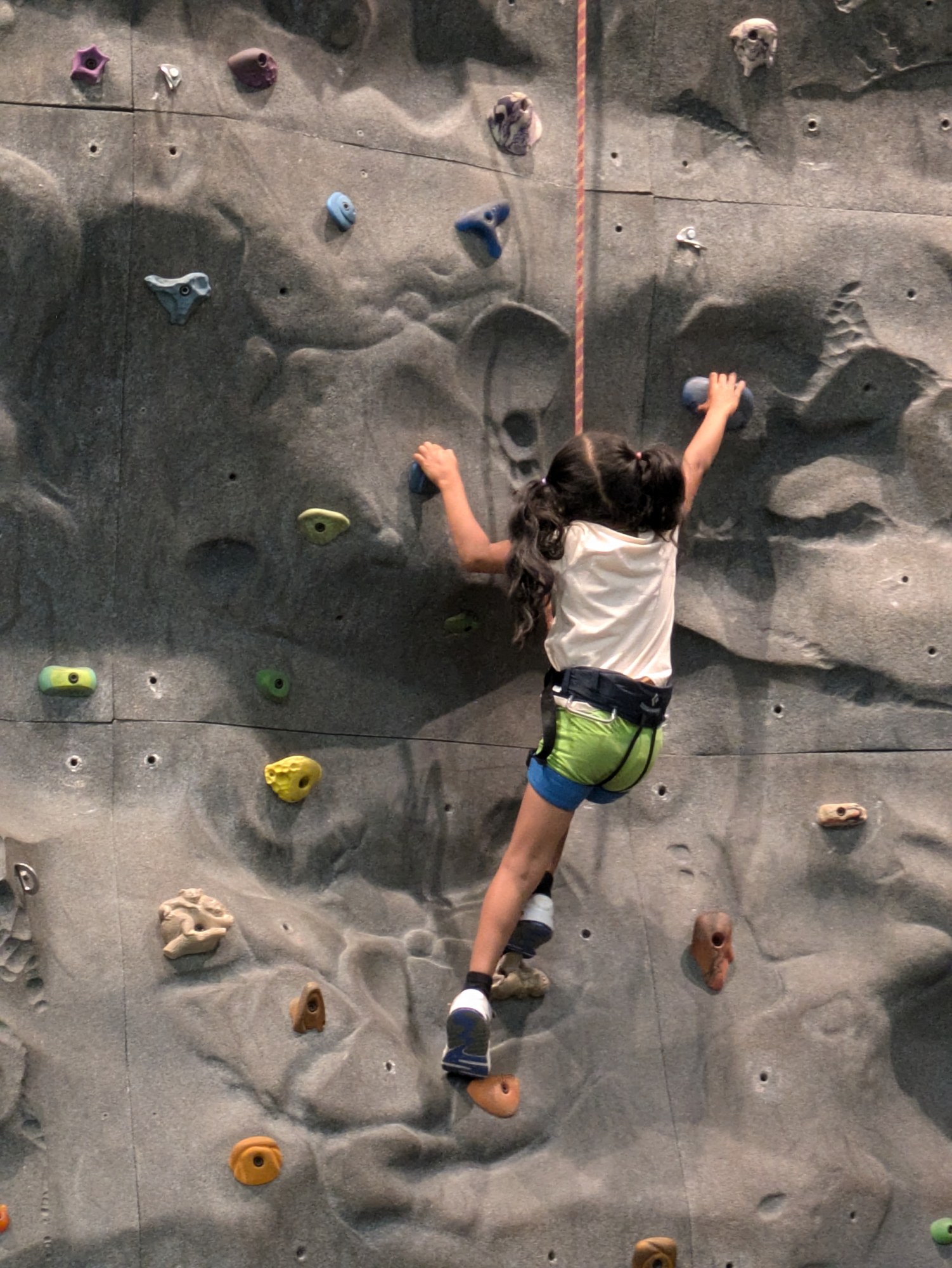 After-School - Pathfinders - Fall - Seattle - 2024 — The Mountaineers