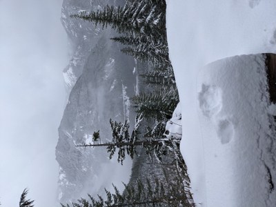 Seattle Junior MAC Hike - Dirty Harry's Peak Trail — The Mountaineers