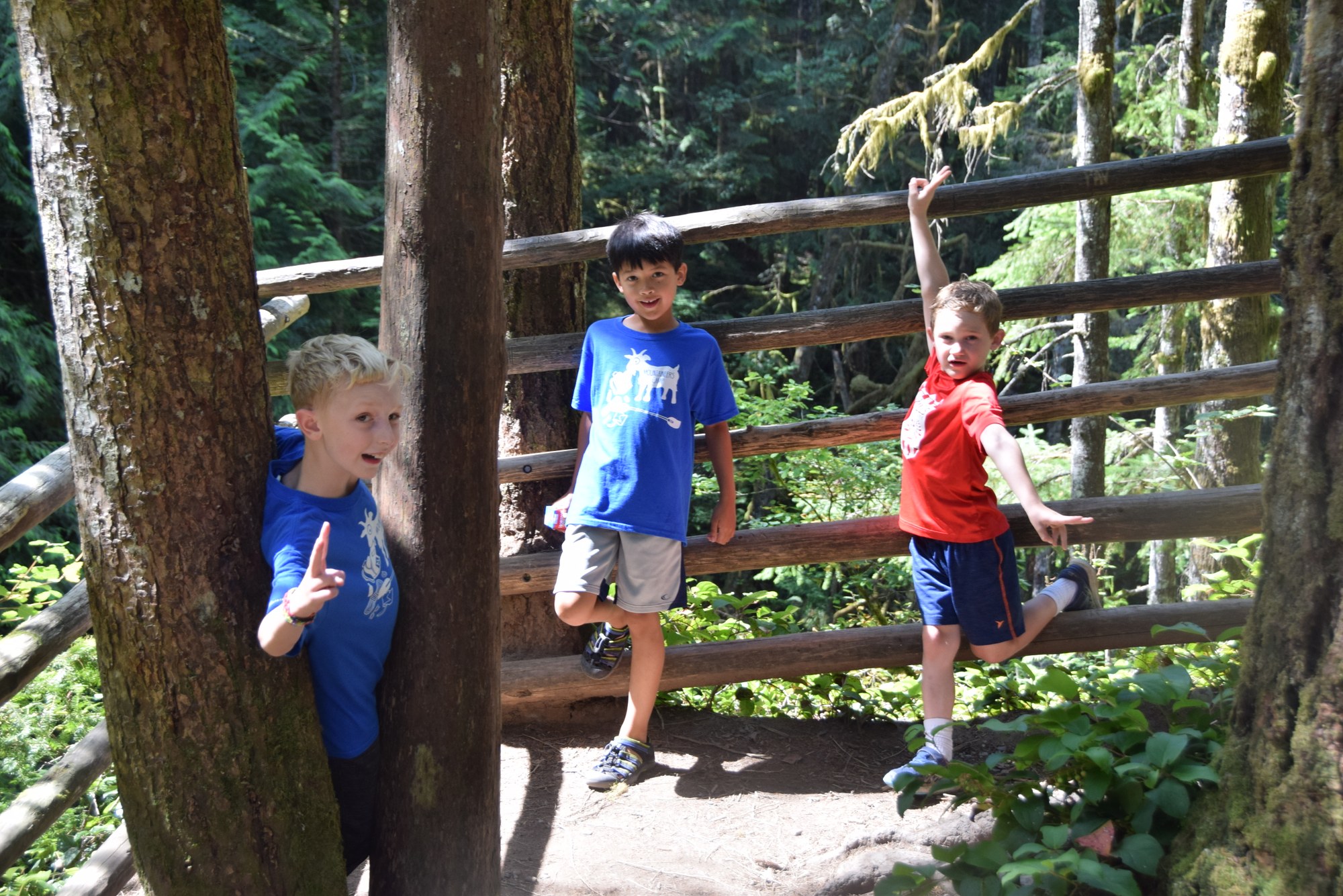 Day Hike - Heybrook Lookout & Ridge — The Mountaineers