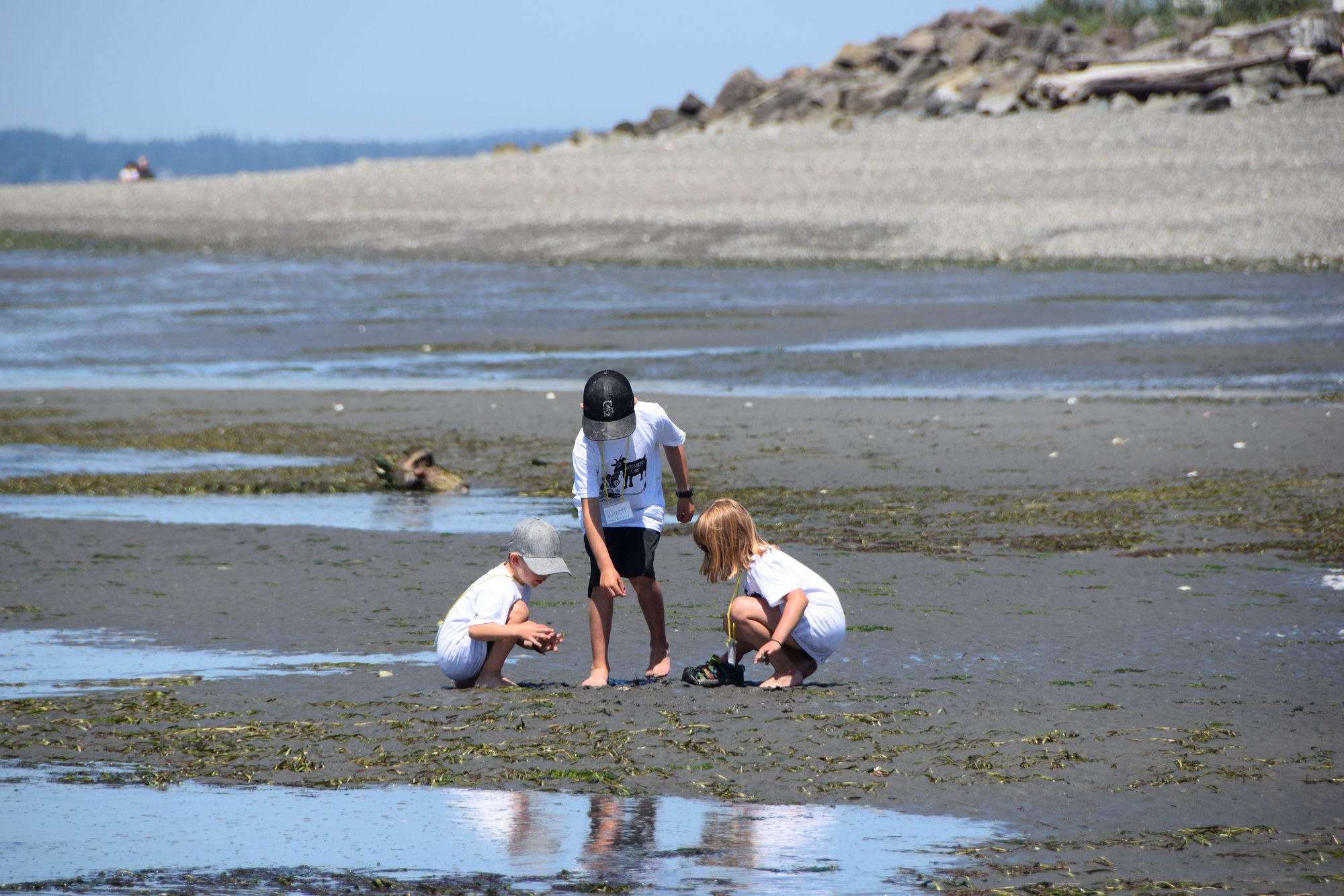 Summer Camp - Wind and Waves Week 2- Seattle - 2023 — The Mountaineers