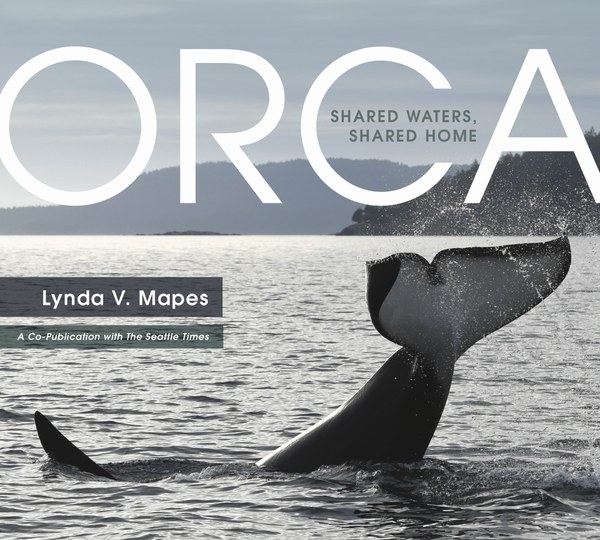 Orcas and Salmon: In Dialogue with Lynda Mapes of the Seattle Times — The Mountaineers