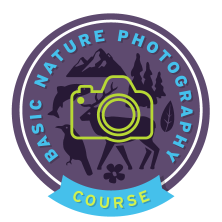Basic Nature Photography Course — The Mountaineers