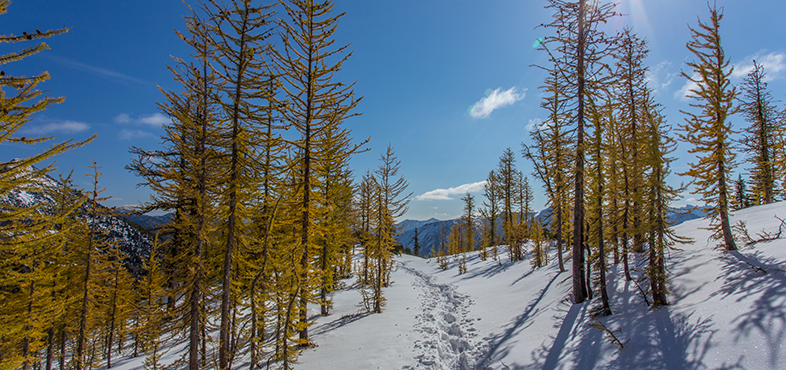 Washington State Department of Natural Resources (DNR) — The Mountaineers